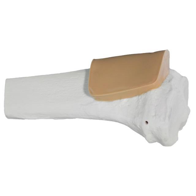 EZ-IO Training Bone | QureMed